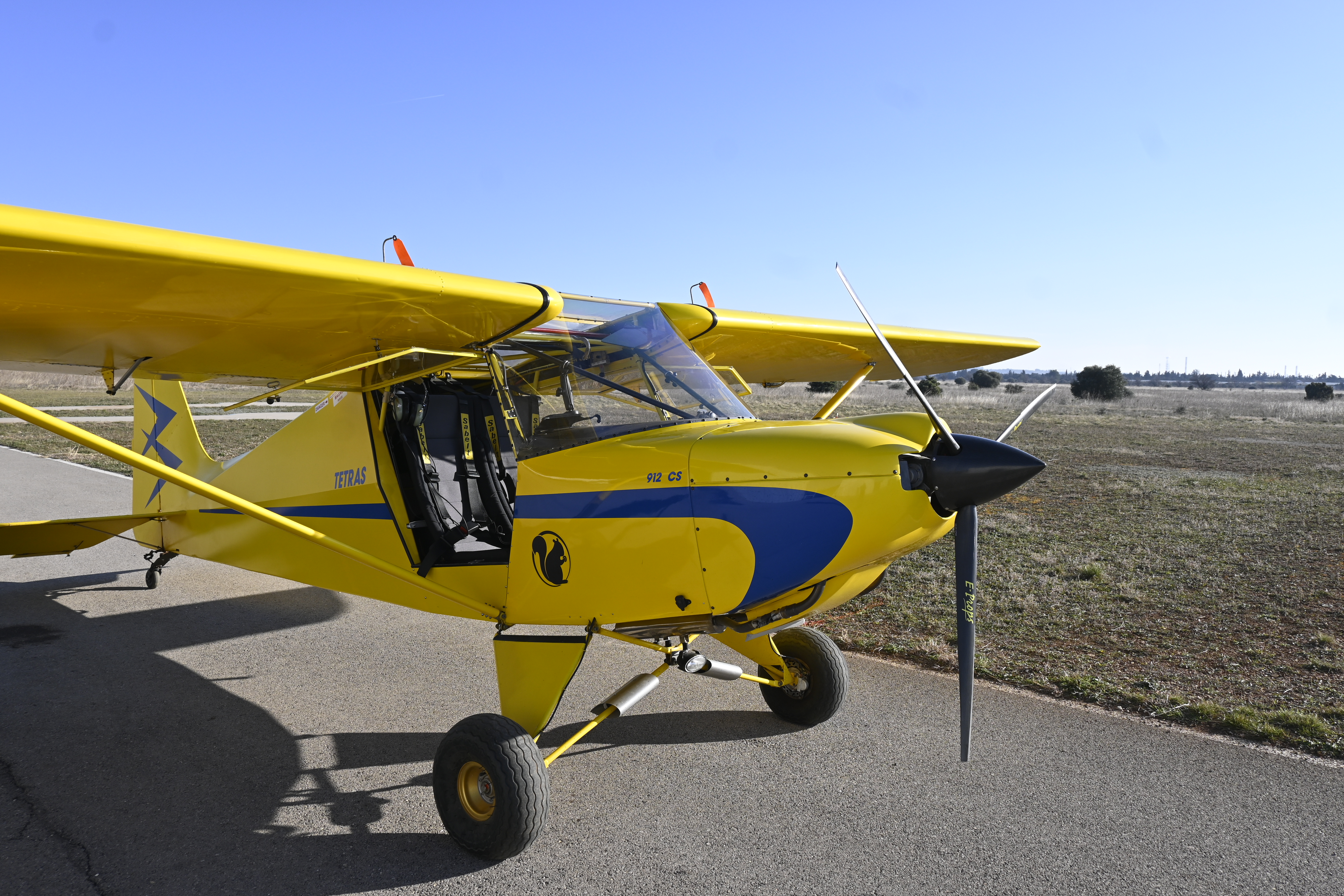 ulm occasion - TETRAS